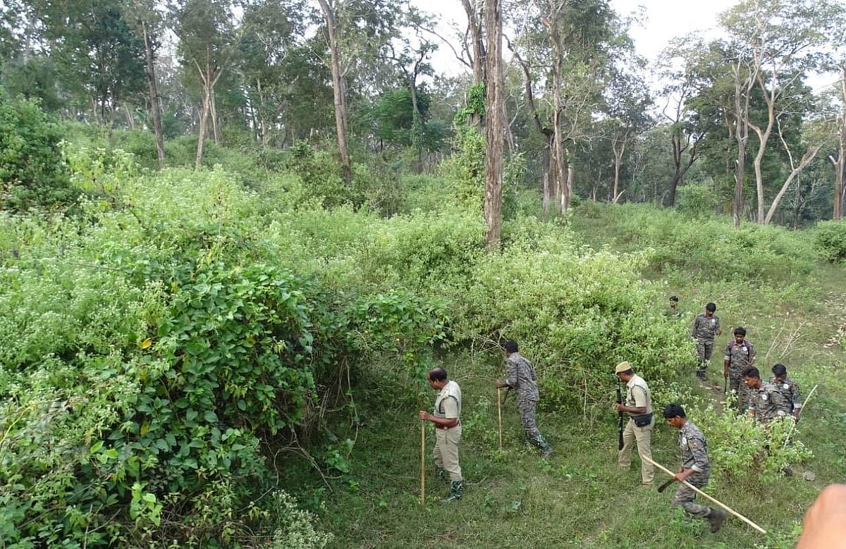 20 camera traps to monitor MTR tiger