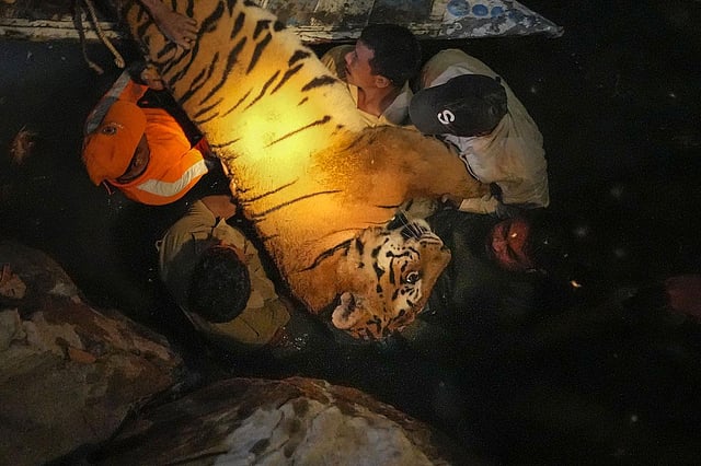 Photos of the week