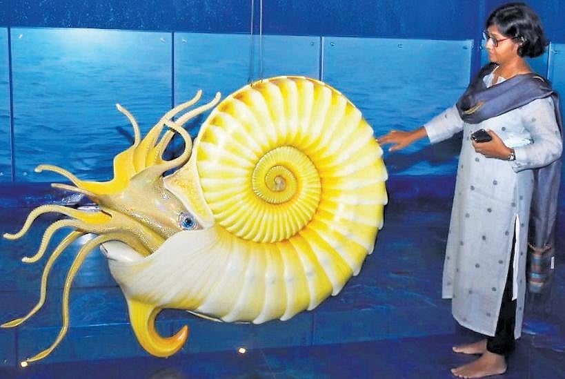 Perambalur opens doors to history