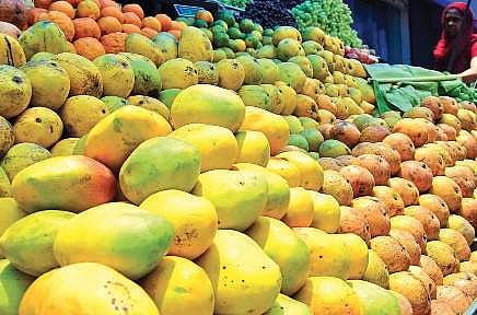 Poor mango yield prospects worry Annamayya district farmers