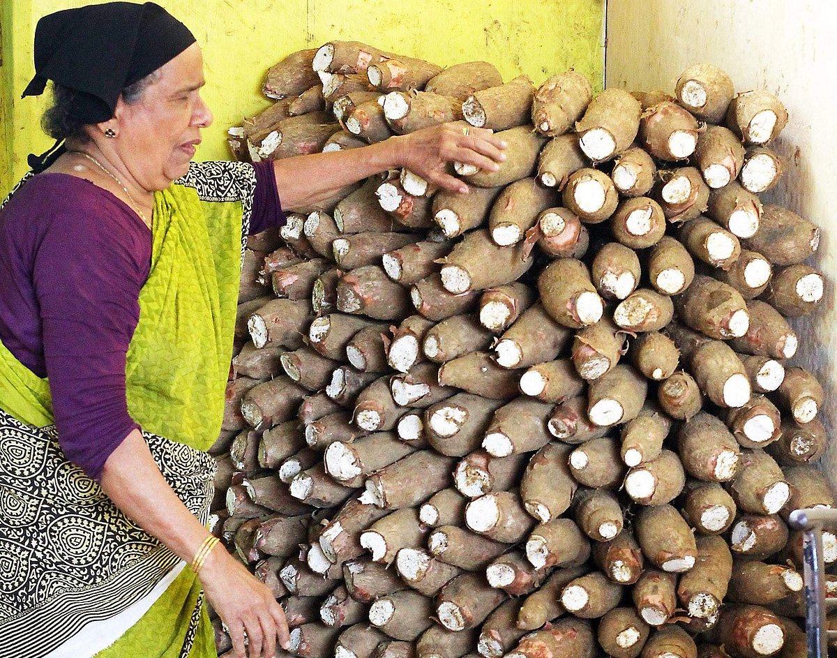 Bug diplomacy: Parasitoid from Africa's Republic of Benin comes to aid ...