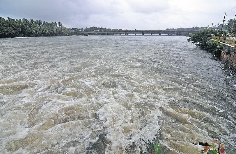 Mekedatu project will help drought-hit areas of Karnataka: Expert