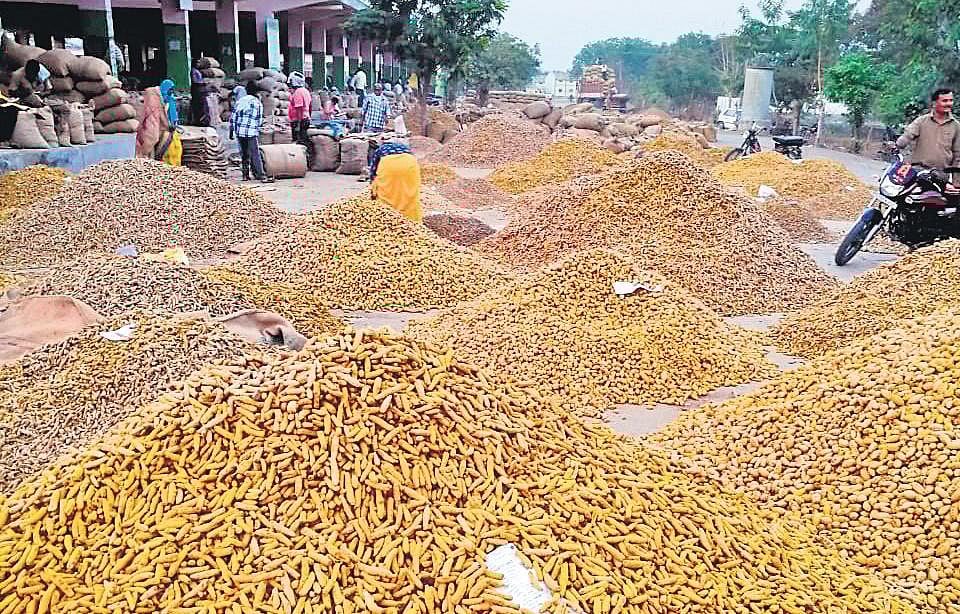 Don’t blame us for quality of rice, say ration shop workers