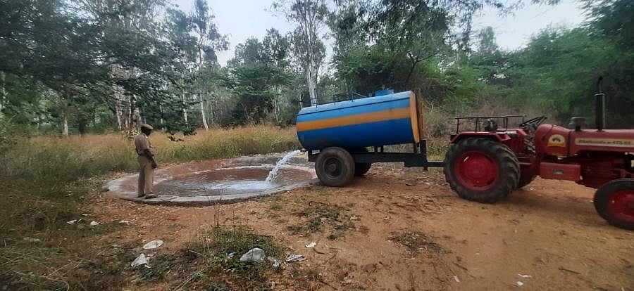 Vellore forest department fills up water troughs for wild animals to ...