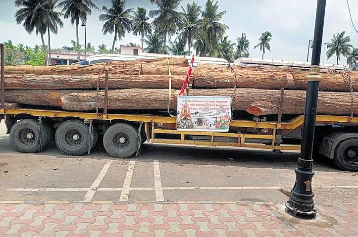 Timber for Rath Yatra arrives in Odisha's Kendrapara temple ...