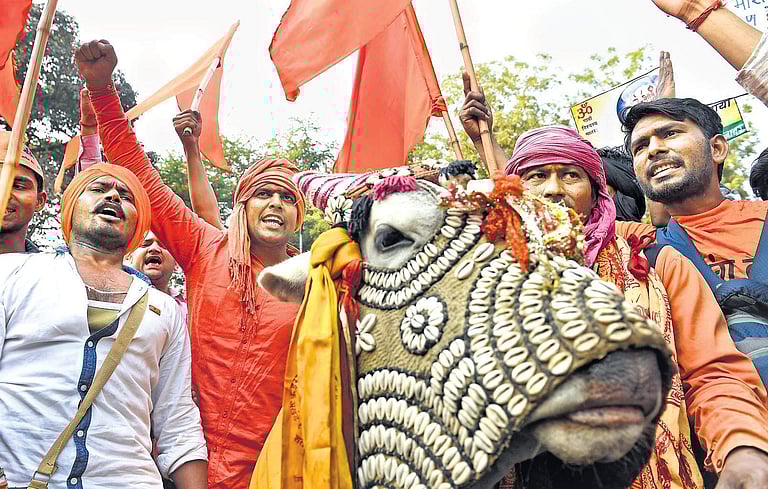 Halt cow vigilantism and cattle targeting