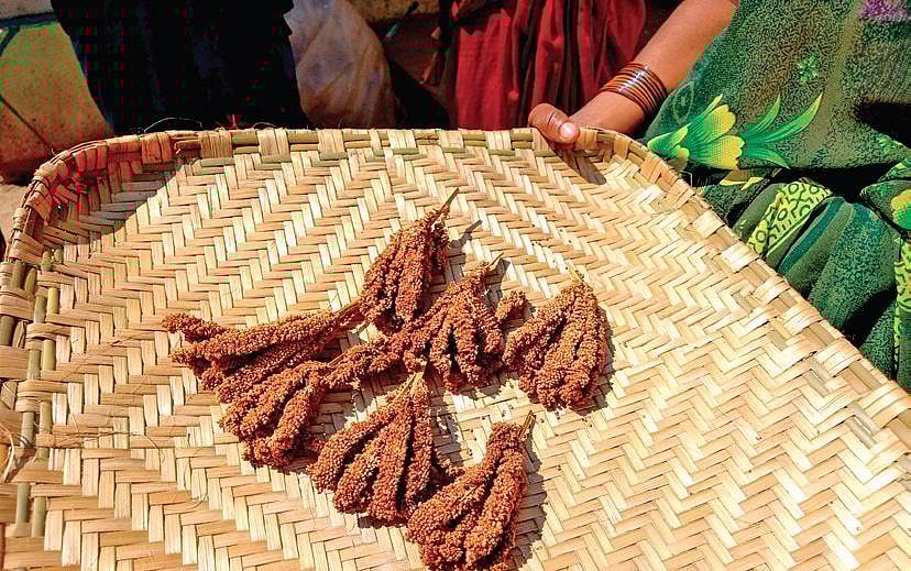 Stock millets in ration shops, inform public for healthy eating habits