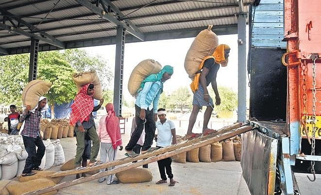 Grain of the matter: HC bins AAP’s ration scheme
