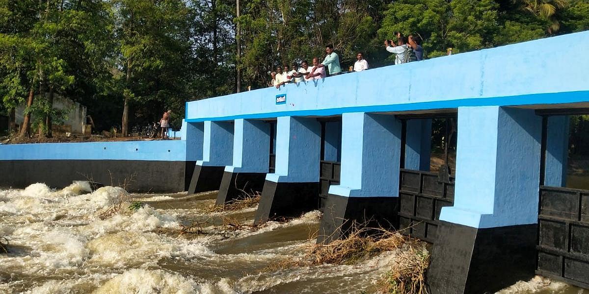 Cauvery river water reaches coastal districts of Tamil Nadu