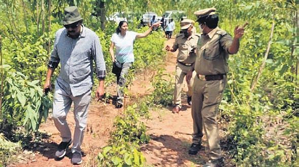 Yeleswaram Reserve Forest: Efforts to trap tiger continue