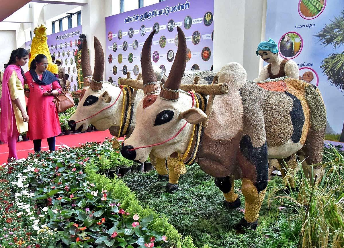 IN PICS: Inside Chennai's first flower exhibition at Kalaivanar Arangam