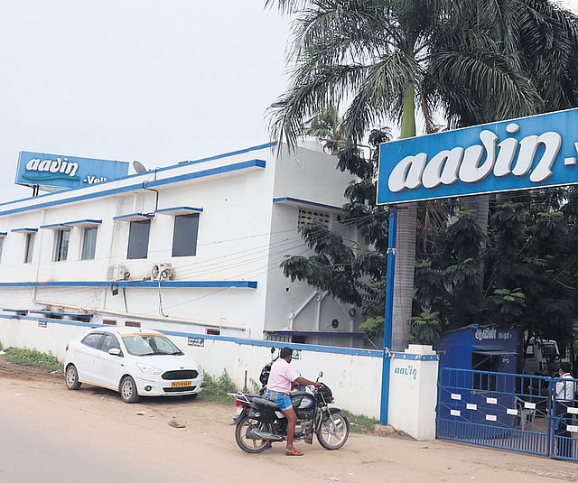 Illegal appointment: Aavin sacks 236 employees