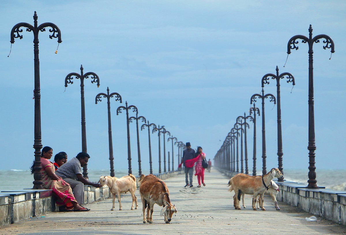 Get ready to cruise from Beypore Port in a vessel, enjoying sea