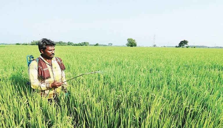 Telangana to set up 7,149 centres to lift paddy