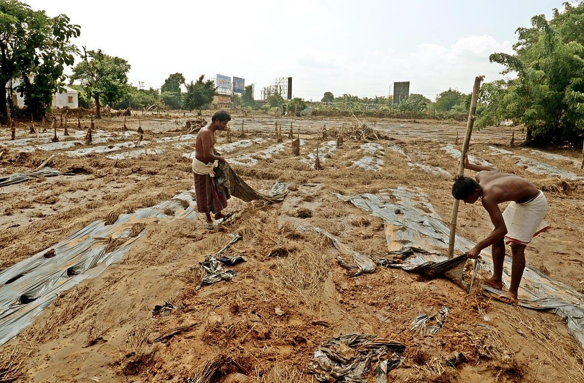 Floods hit 1.7 lakh hectare crop area, but rains came as a boon for ...