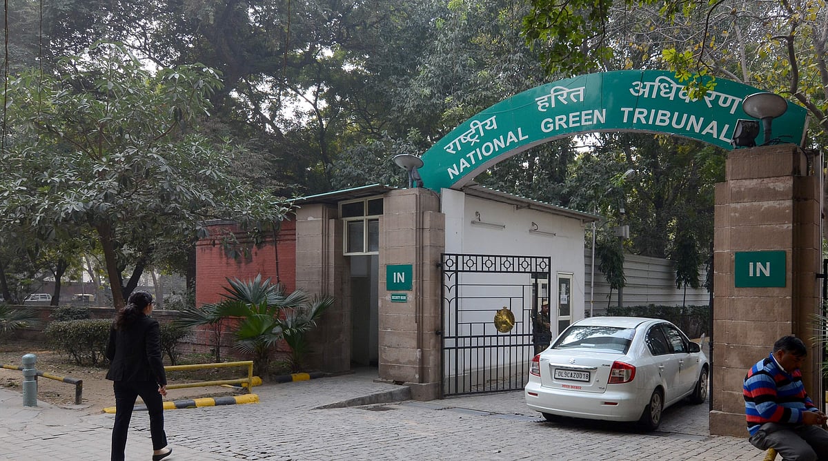 Festival season: Chhattisgarh activists to ensure NGT ban on pandals ...