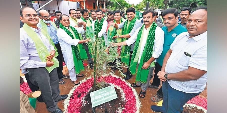 ‘Jammi’ tree in every village, temple initiative launched by Minister ...