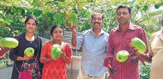 Cherai embraces aquaponics, motivates others