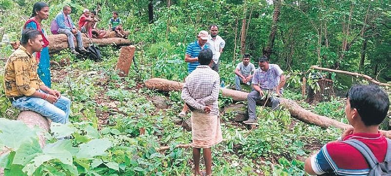 Chhattisgarh villagers sneak into Odisha, cut down 150 trees