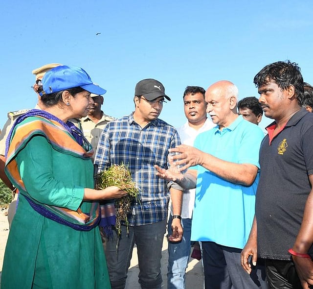 Artificial reef modules breathe new life into waning Vaan Island ...