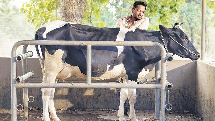 'Paltu Janwar' review: Coming-of-age drama that leaves you wanting