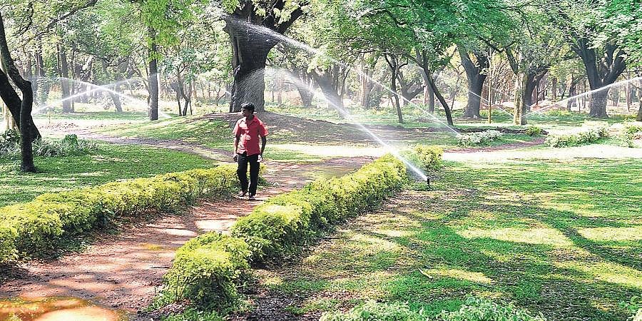 GMC readies an action plan to develop local parks in Guntur city