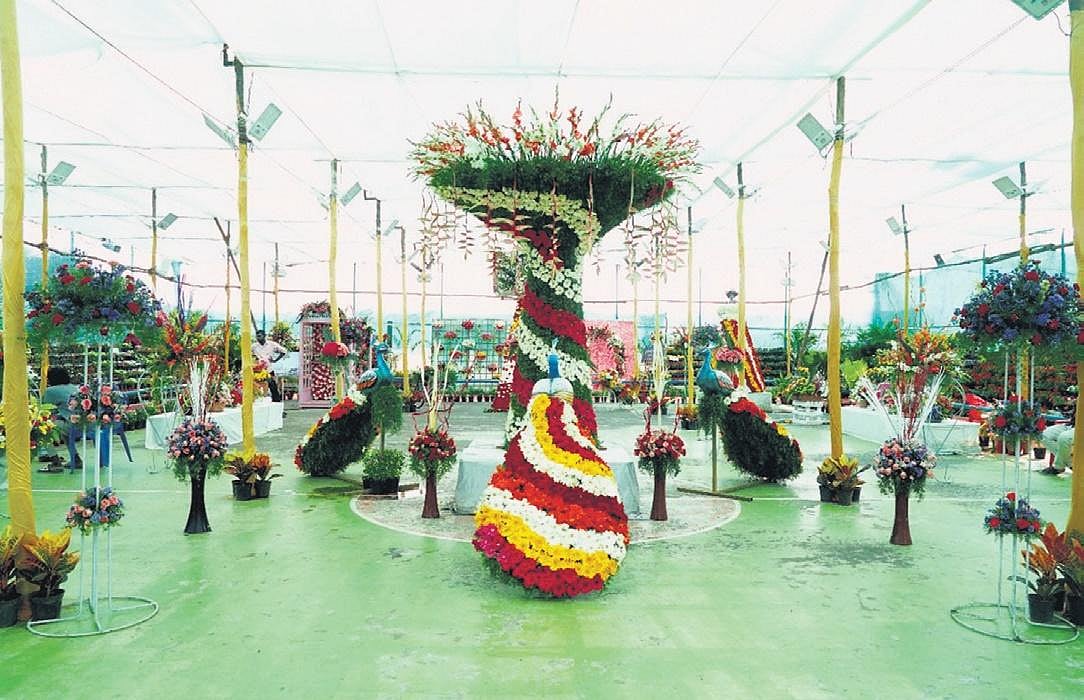 Flower show at Karaikal Carnival a crowd puller