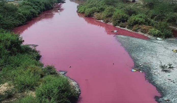 Thoothukudi: Residents see red as effluent turns stream pink