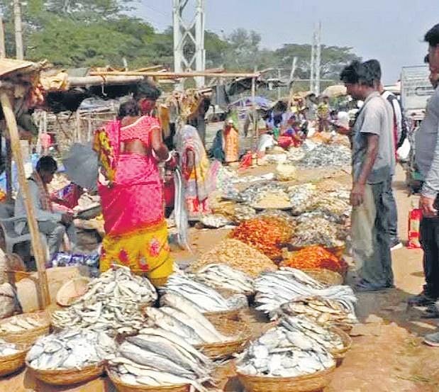 Humma dried fish market of Odisha struggles sans infrastructure