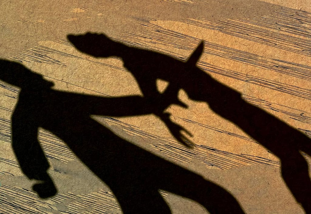 Govt bans Jammu and Kashmir Ghaznavi Force for terror acts