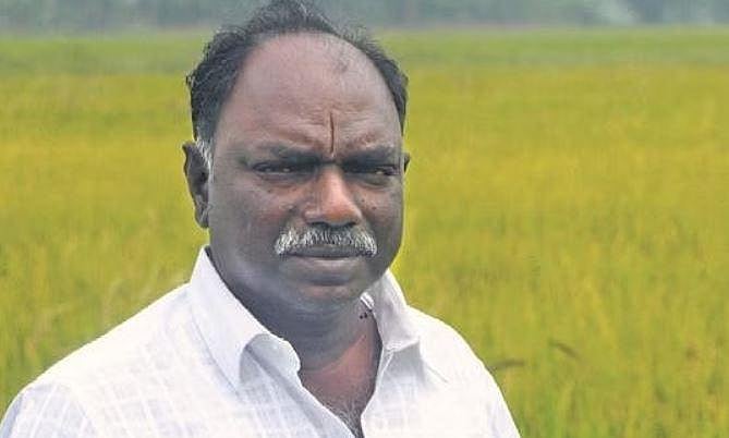 Selvam’s mission to save traditional paddy seed varieties