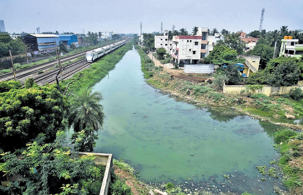 NGT order fails to plug sewage, effluent flow into Korattur lake