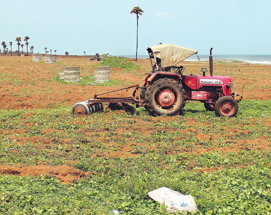 Five-layer agroforestry model of cultivation ideal for Anantapur