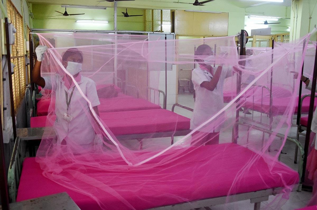 First dengue bout can be as severe as secondary infection, India study ...