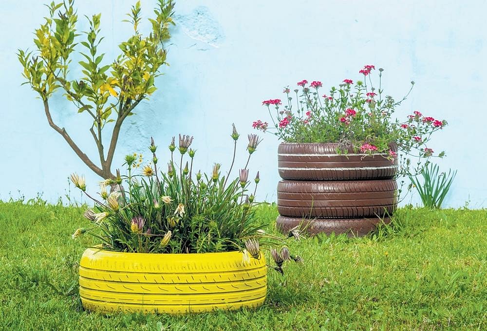 Pop goes the planter: Here's the tips to repurpose old daily-use objects