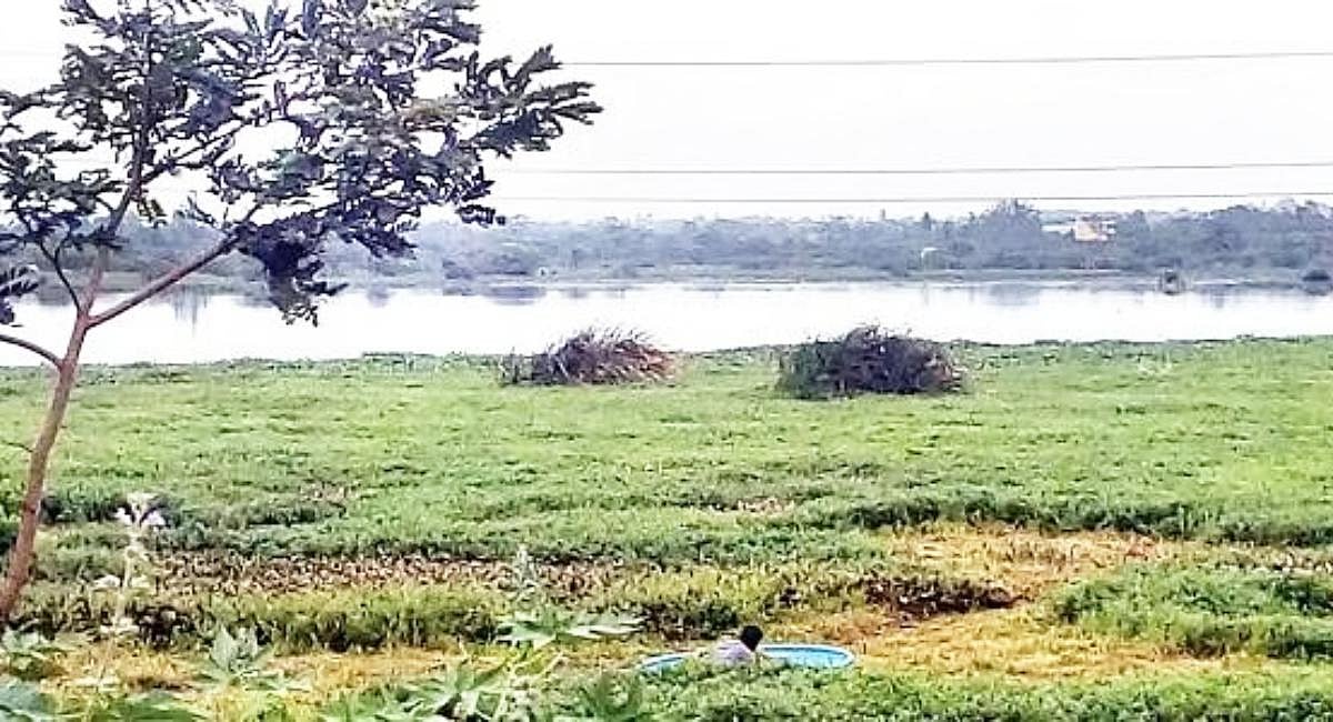 Illegal flats crop up in Sai Serenity Layout, release sewage into lake