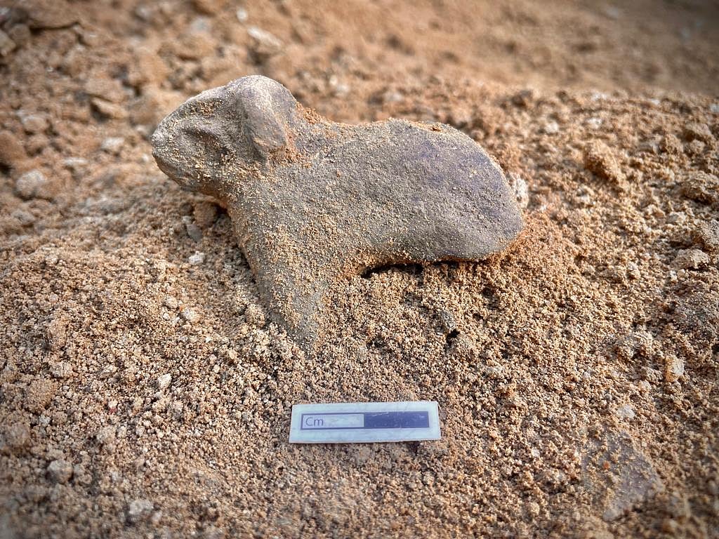 804 artefacts unearthed in Tamil Nadu's Keeladi, 24 burial urns in ...