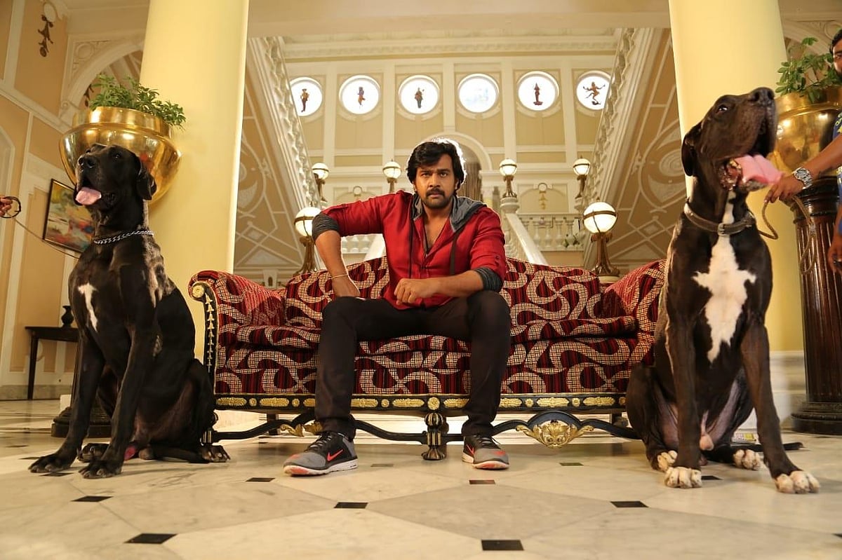 'Raja Marthanda' review: A fitting tribute to Chiranjeevi Sarja's ...