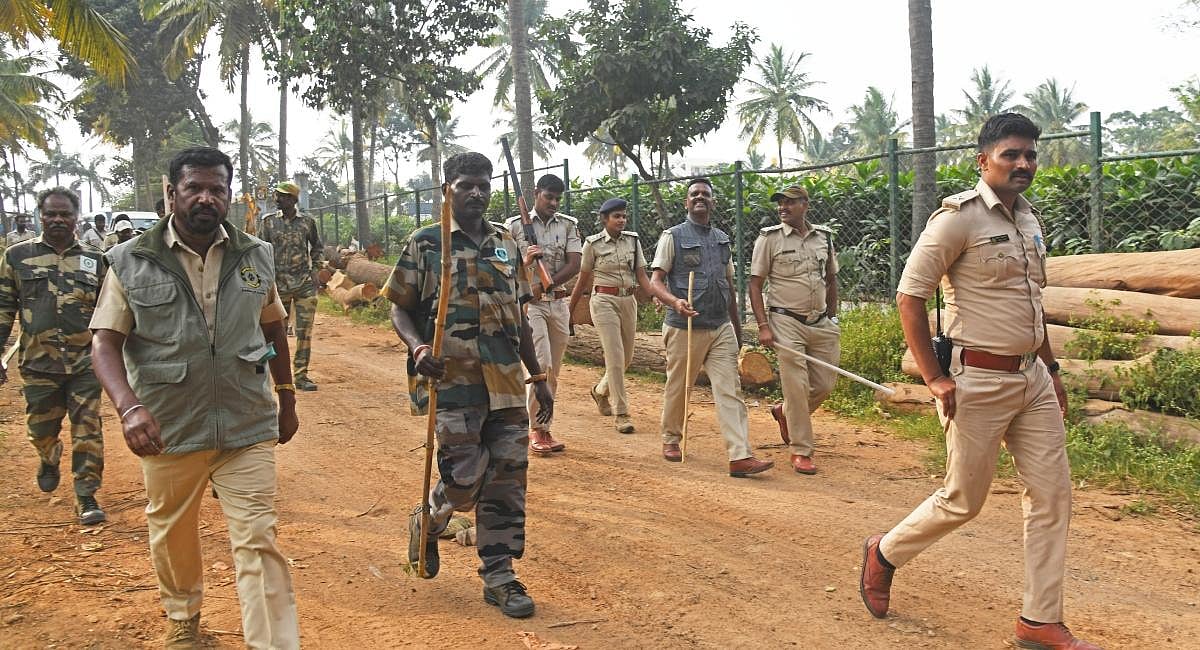 Bengaluru: Residents of Kudlu Gate and nearby areas in fear as leopard ...