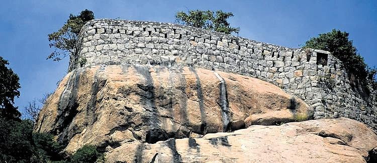 History: Pasts unearthed to illuminate future