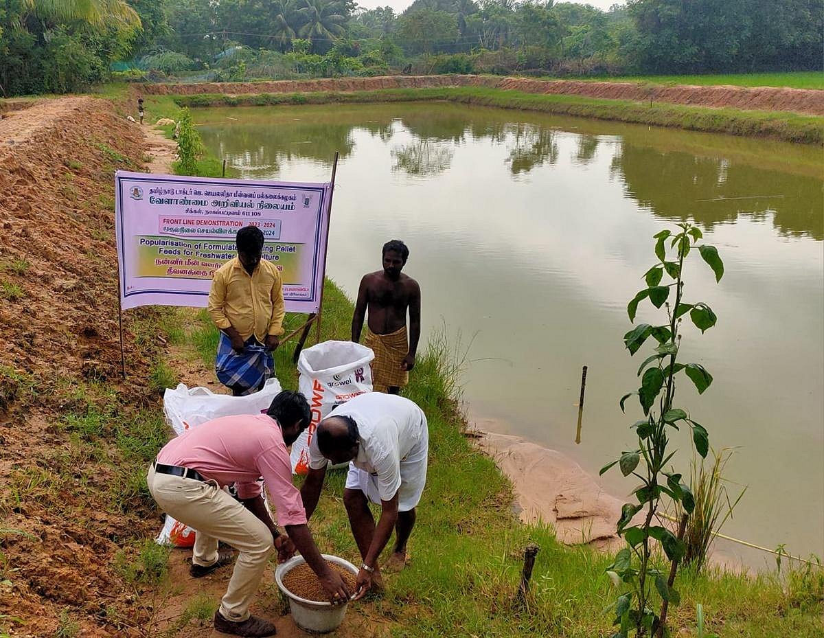 KVK-Sikkal promotes floating fish feed in aquaculture farms in TN's ...