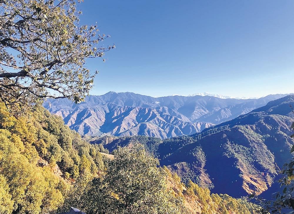 A walk in wonderland