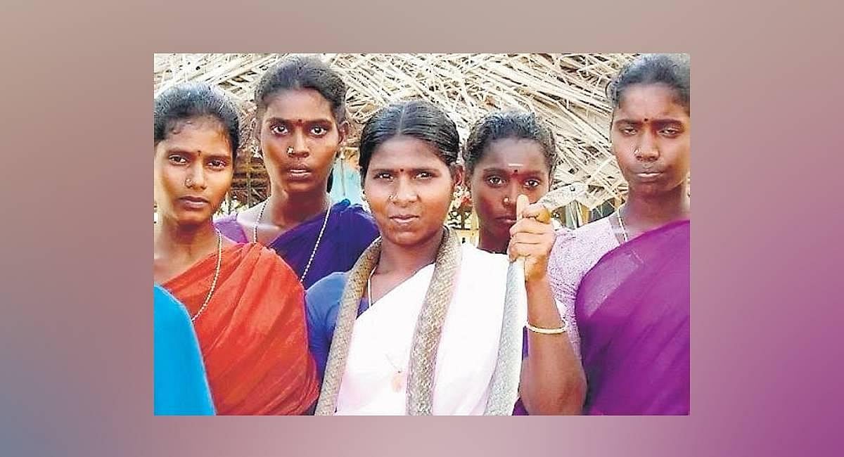 Inside the Irular World