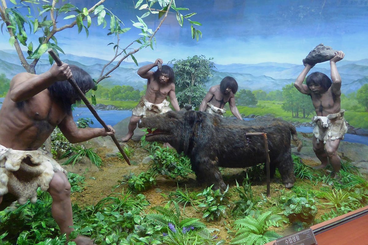 Prehistoric women engaged in hunting, their anatomy suitable for it: US ...