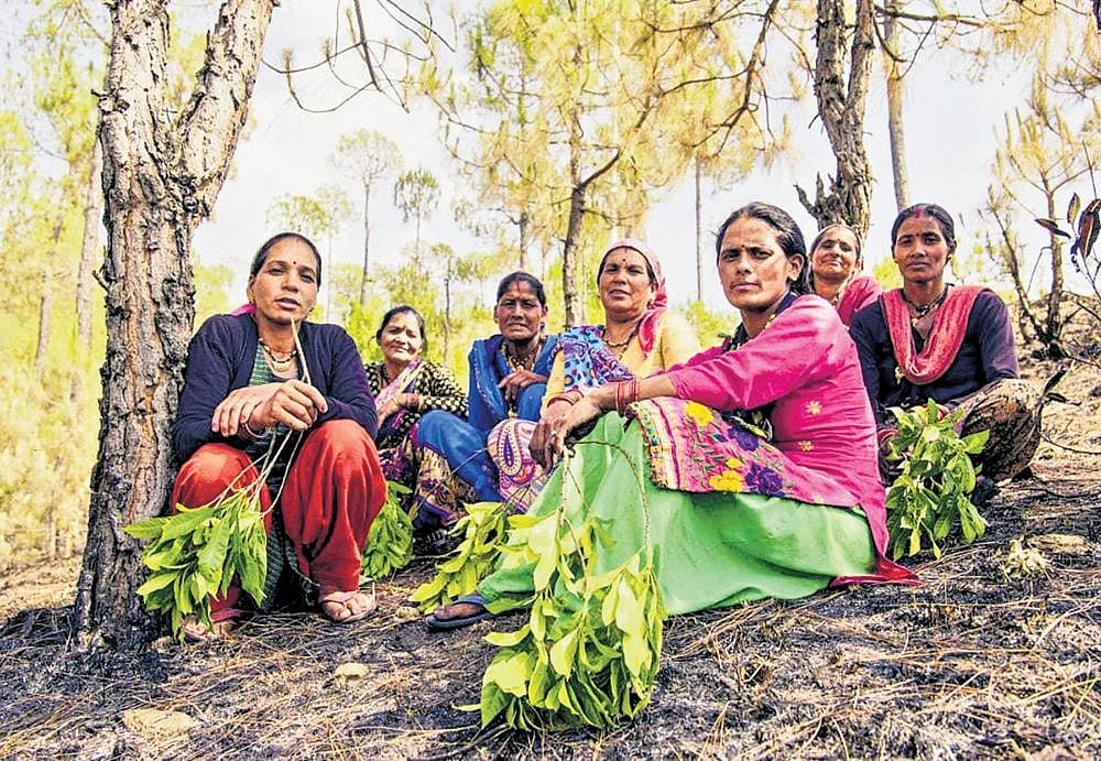 Malayali youths’ docuseries on climate change bags ‘Rebecca Ballestra ...