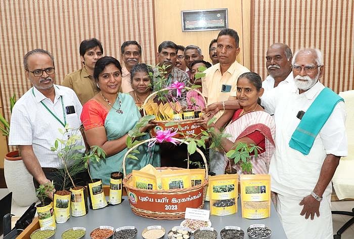 Four millets and paddy varieties among 23 launched by Tamil Nadu ...