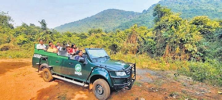 Odisha govt introduces jungle safari at Kapilash sanctuary