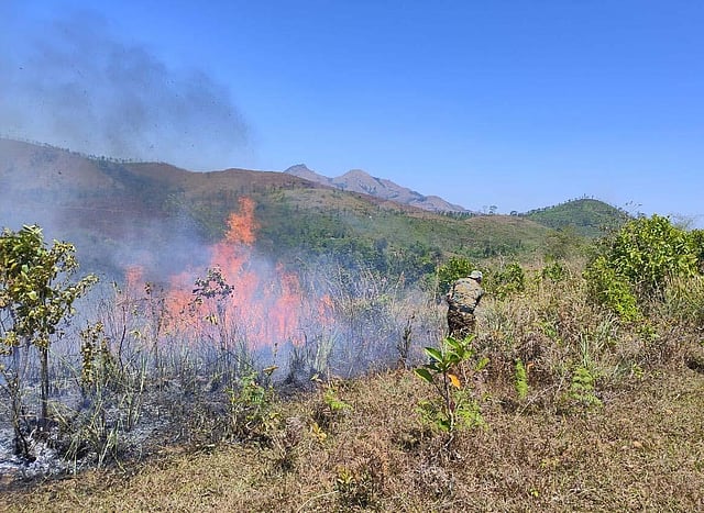 Forest dept gears up to tackle fires in summer, diverts staff to 7 ranges