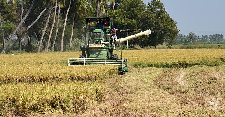 As samba harvesting picks up pace in Tiruchy, 102 DPCs to procure ...