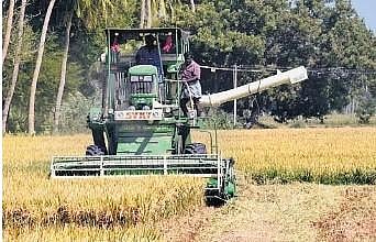 Subsidy and incentives are key for smooth transition to natural farming ...